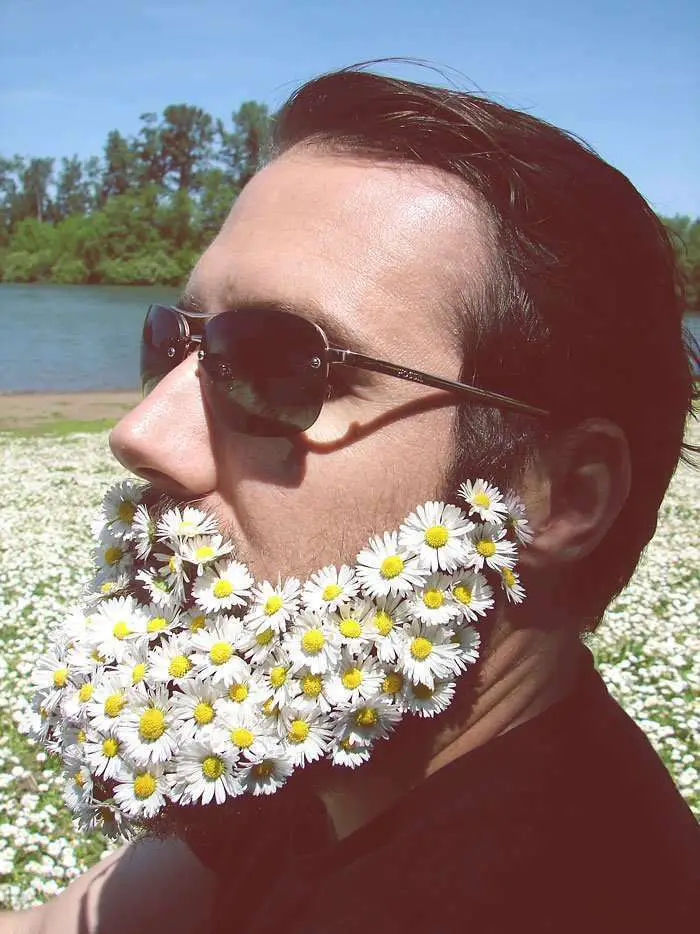 Flower Beard Trend Make Men Crazy - ShutterBulky