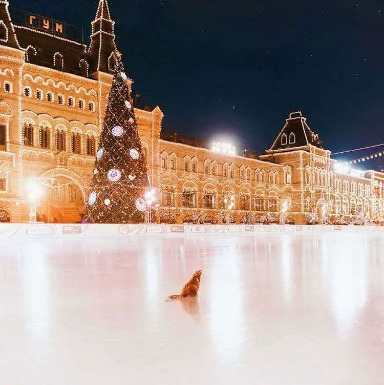 Magical Photos Covered in Beautiful Winter Season of Moscow – ShutterBulky