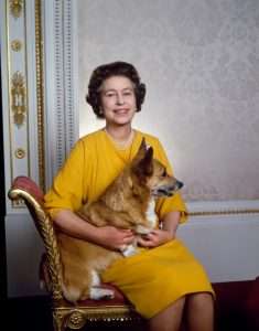 Queen Elizabeth's Amazing Portraits as Princess and Monarch from 1945 ...