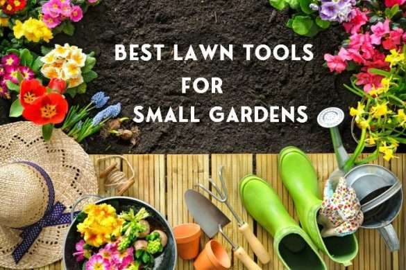 16 Different Types of Best Lawn Tools for Small Gardens – ShutterBulky