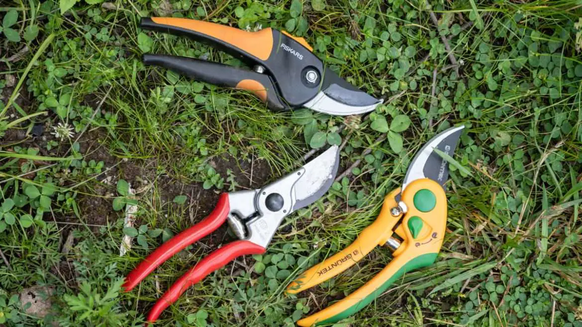 Best Hand Pruners 2023: The Ultimate Guide – ShutterBulky