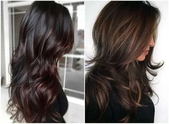 All About Single Process Color vs. Double Process Hair Color - Shutterbulky