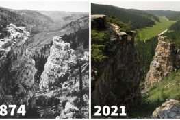 The Isdal Woman: The Mysterious Death That Haunts Norway – ShutterBulky