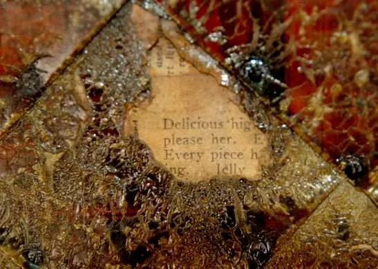 The Remarkable Newspaper House: A Century-Long Experiment in ...