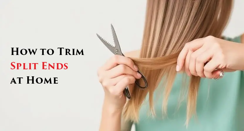 How to Prevent Split Ends Naturally at Home - Shutterbulky